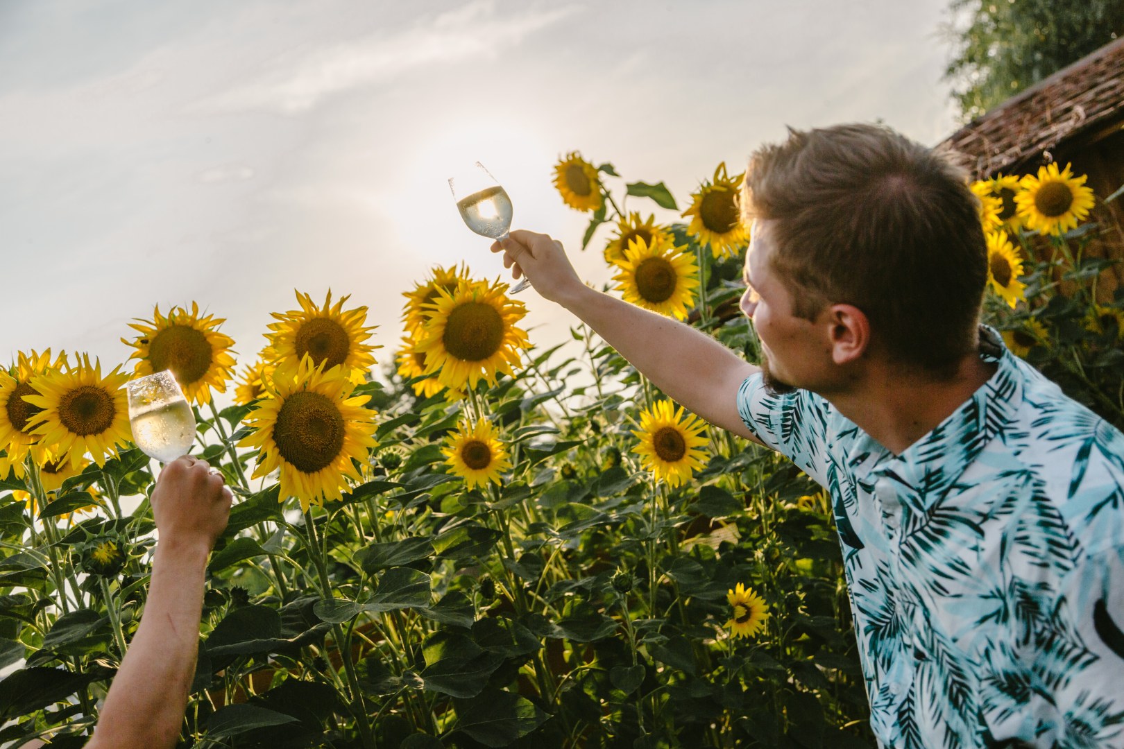 Myrtus Klasszik Borkóstoló (Tarcal, Tokaj) FOGLALD LE 3 490 Ft-tól