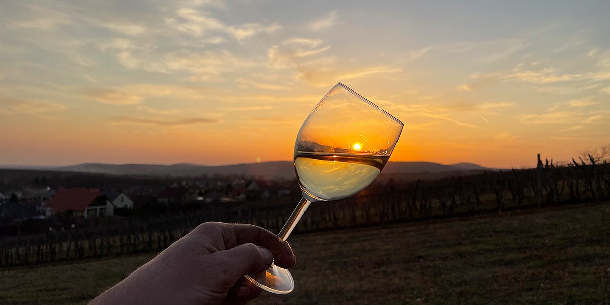 Anna Winery & Vinoteca - Mád, Tokaj